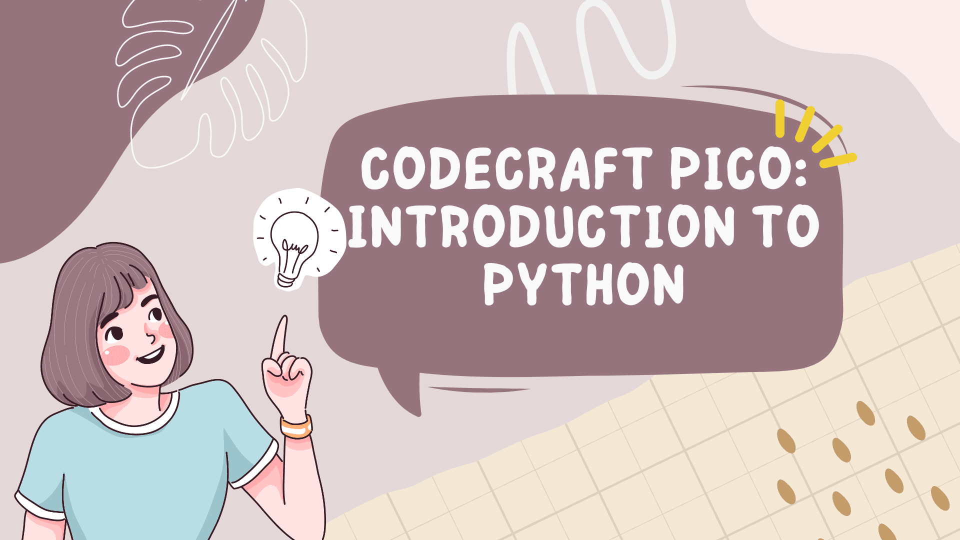 Codecraft Pico: Introduction to Python – Roboskool Campus